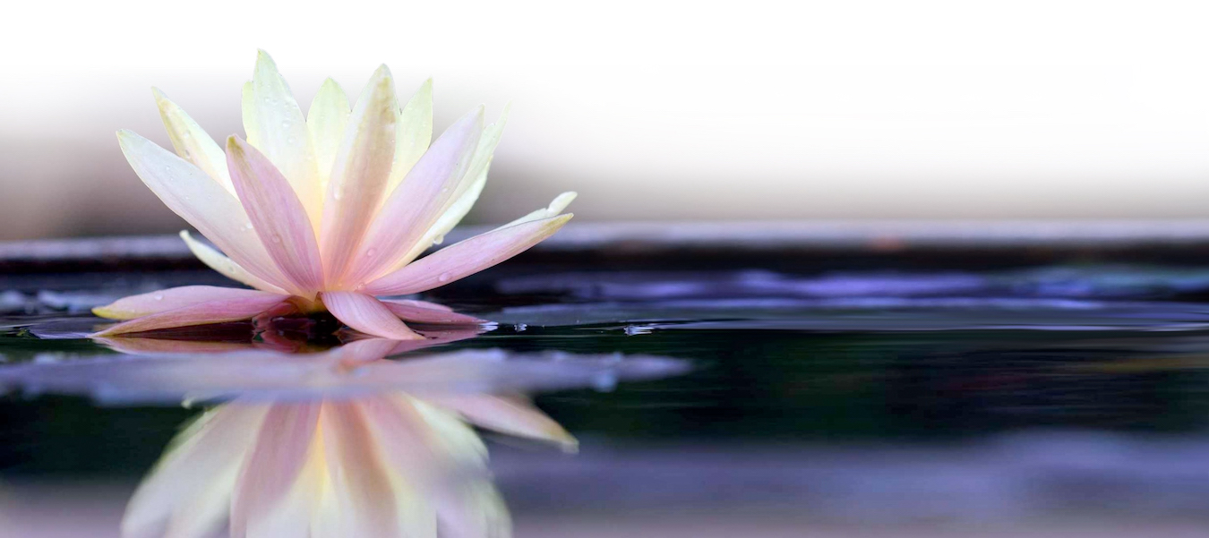 The history and evolution of Reiki - Gifted Hands Reiki